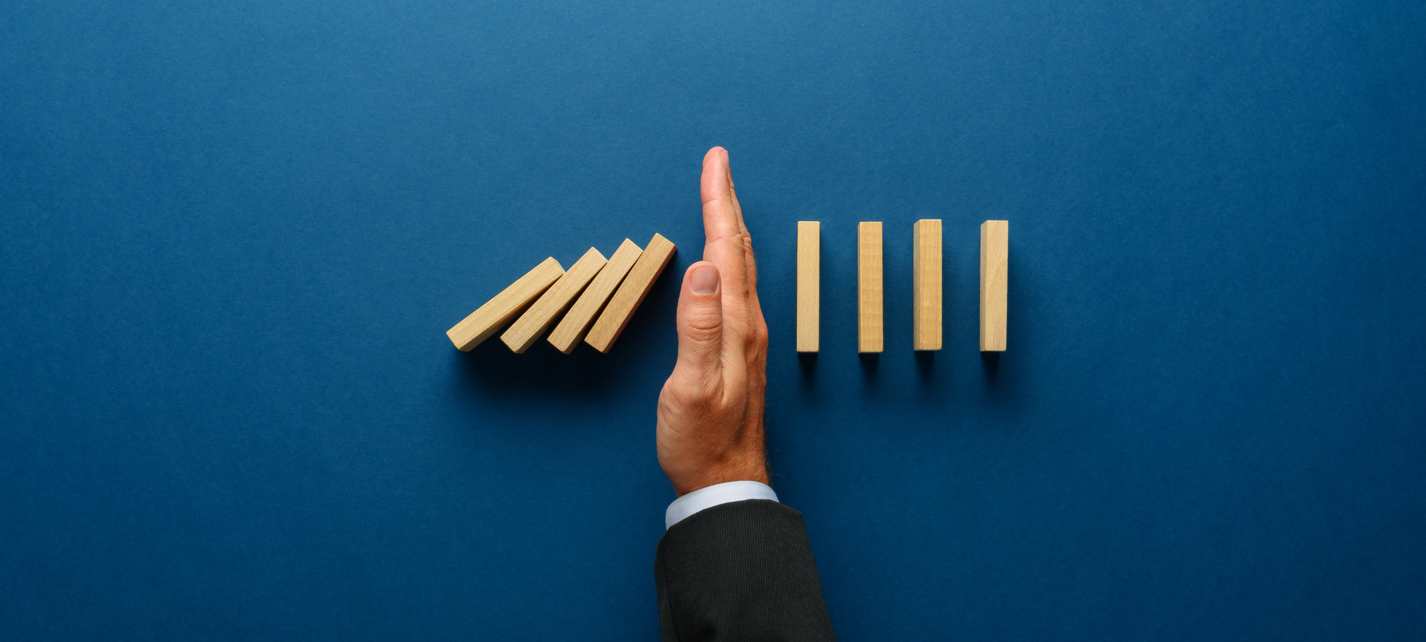 Understanding Risk Management and Loss Prevention: A Guide by Gaspar ...