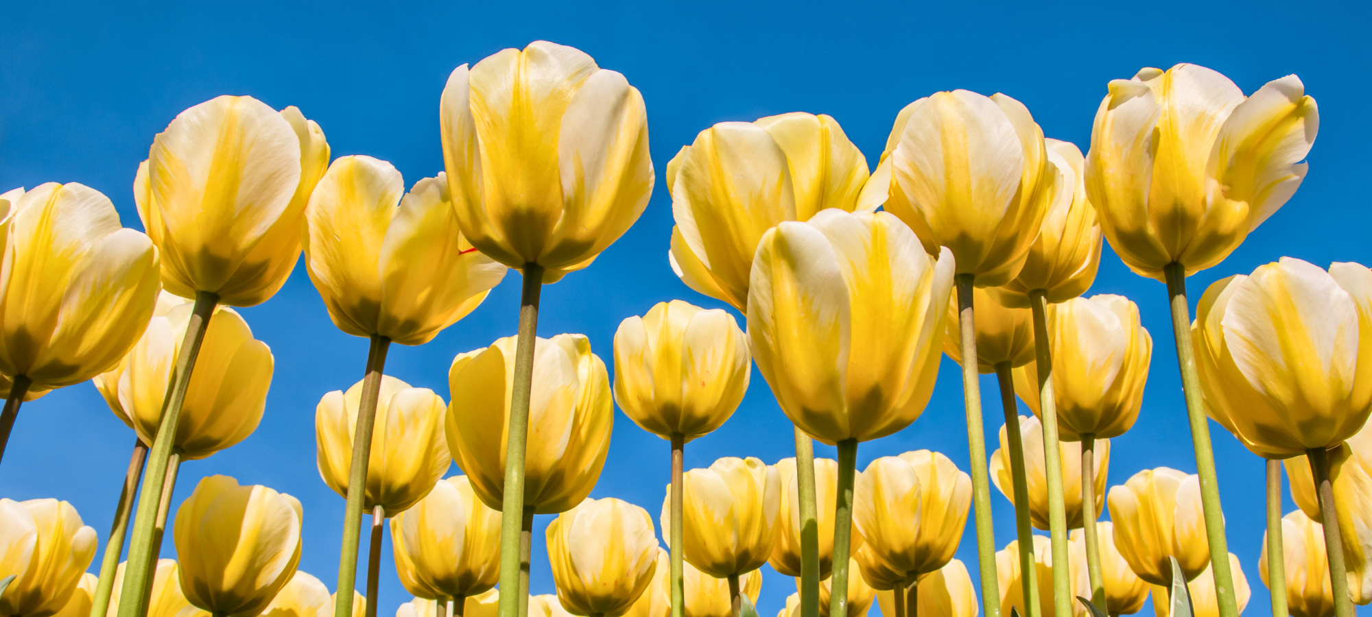 Spring Forward: Daylight Savings and What It Means for You - Gaspar ...